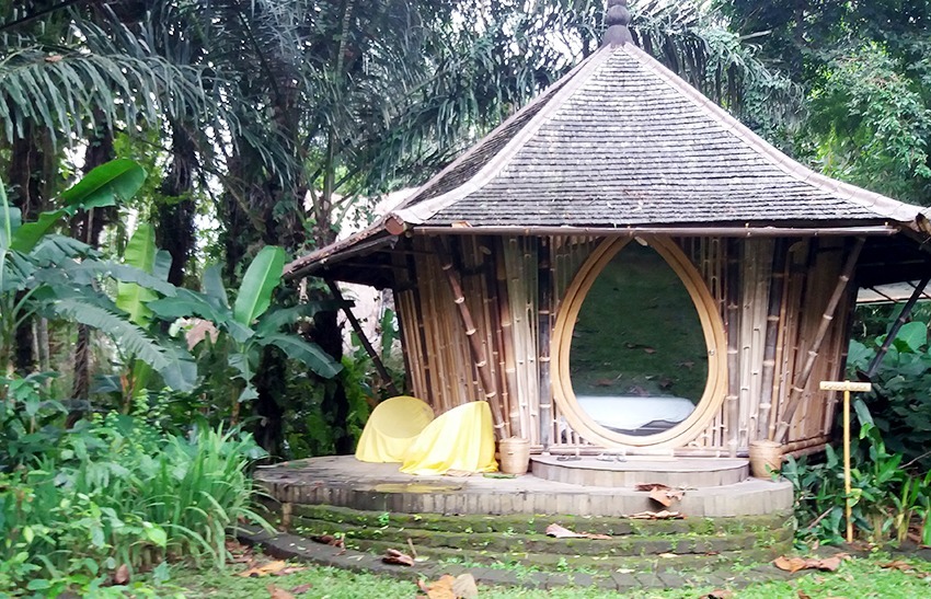 Black, Bold, and Beautiful: The Allure of Black Bamboo - Will Cottrell Art